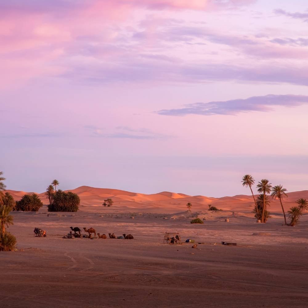 How to Get to Merzouga Desert from Fes? - Itran Royal Camp
